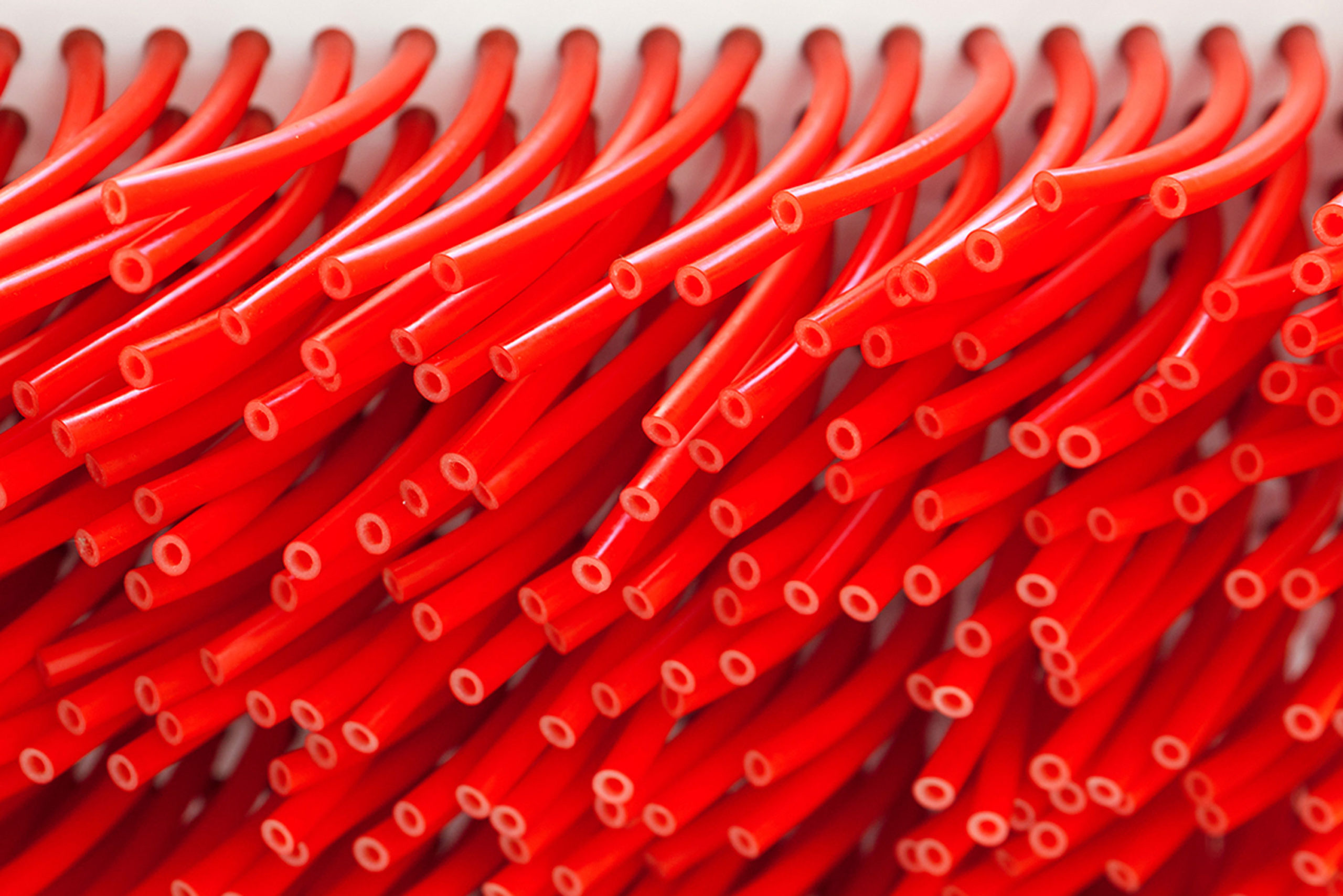 Google Kirkland Wayfinding — Studio Matthews