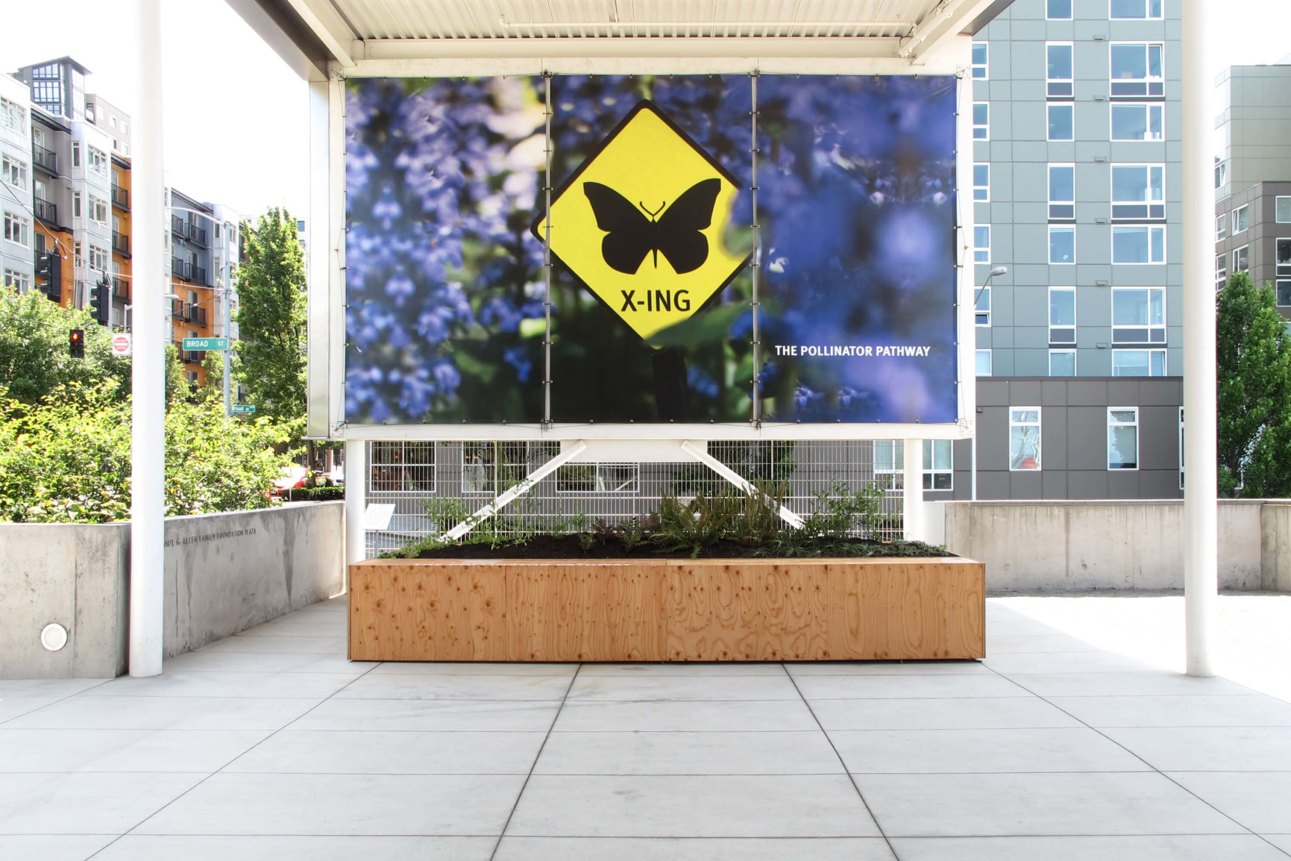 Pollinator Pathway — Studio Matthews