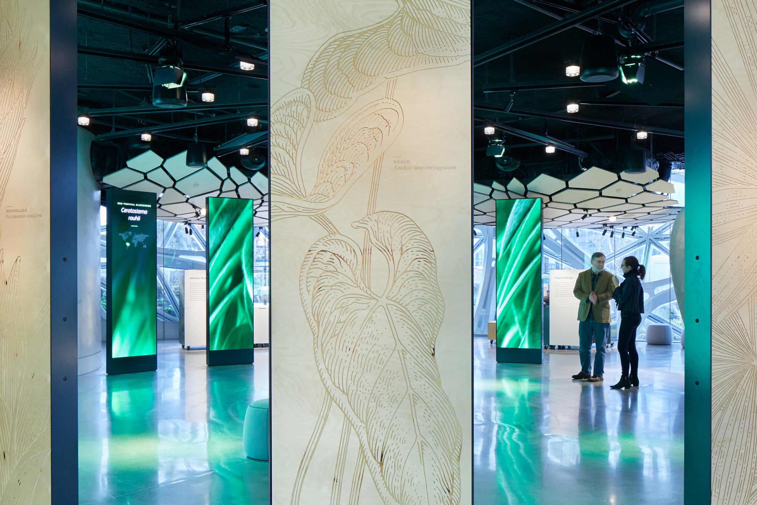 Understory at Amazon Spheres — Studio Matthews