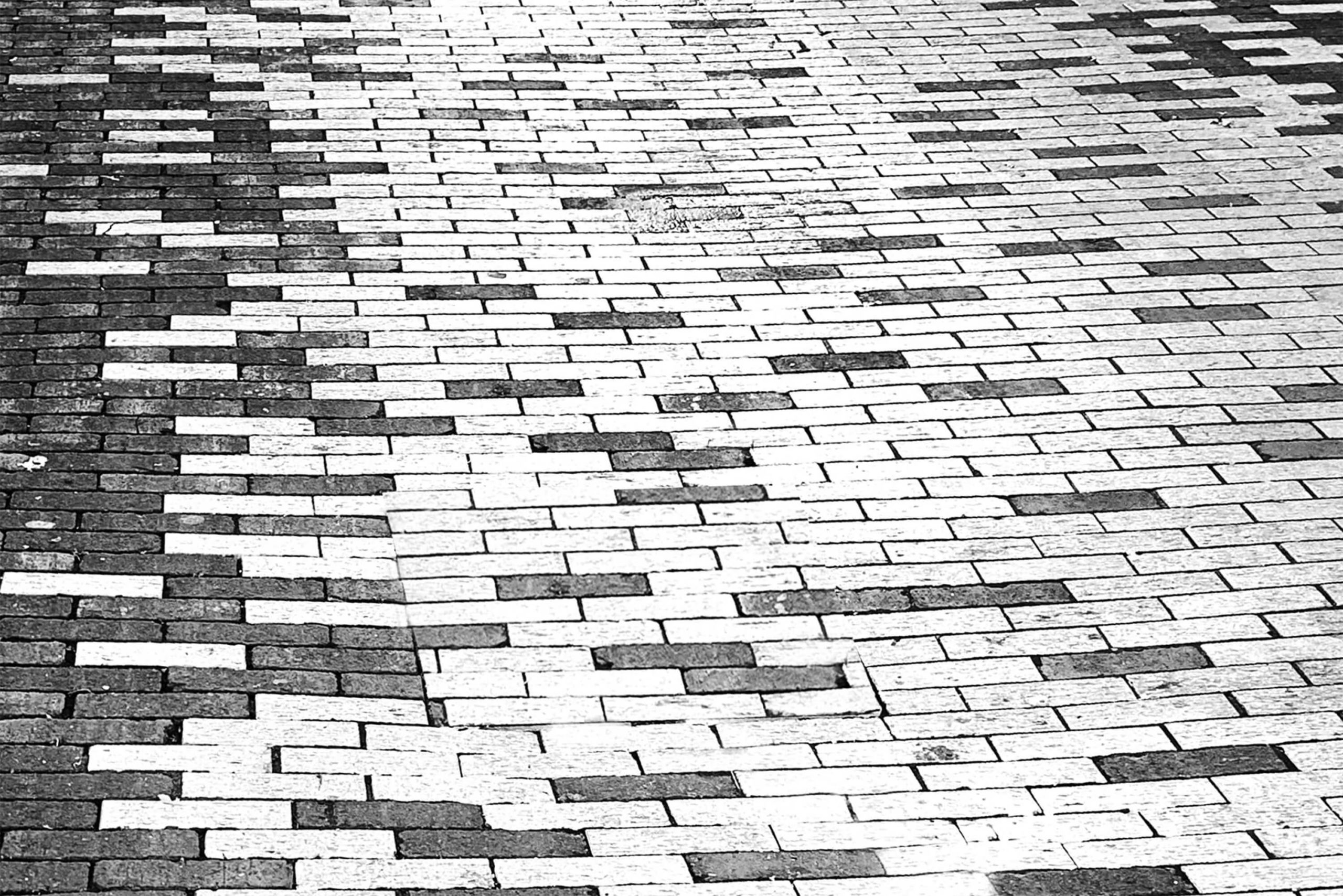 Interpreting Seattle’s native shoreline — Studio Matthews